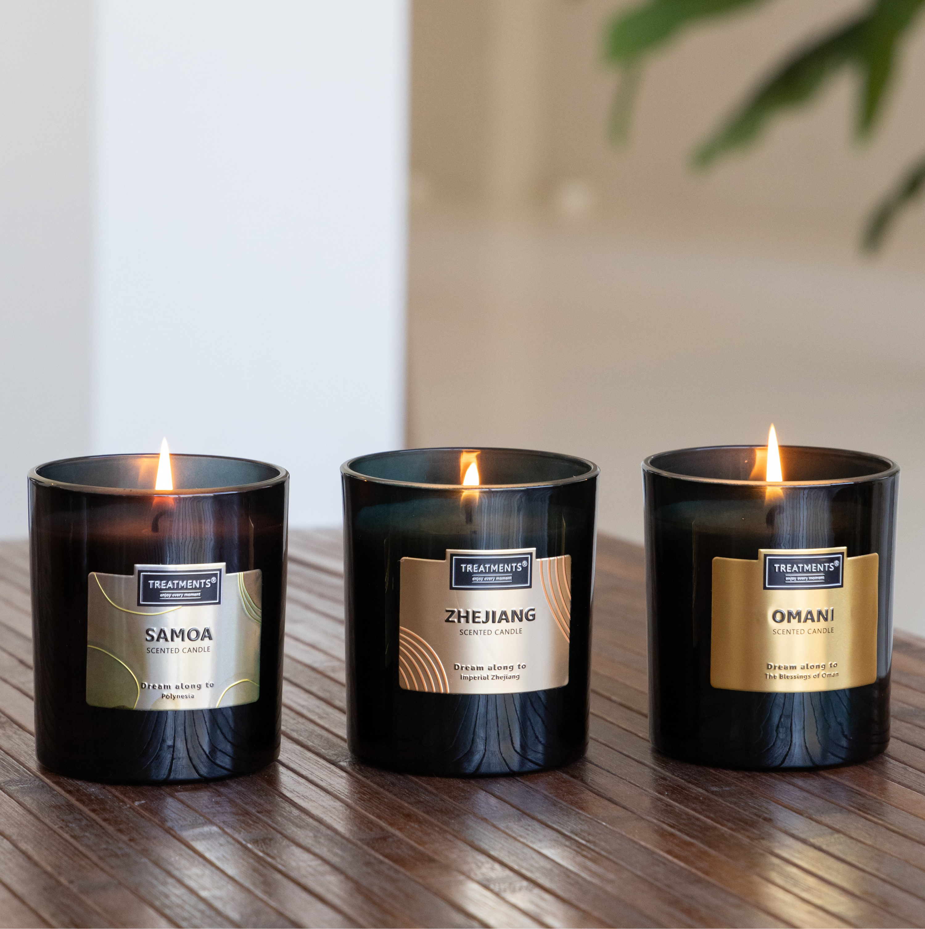 Over ons – Treatments®